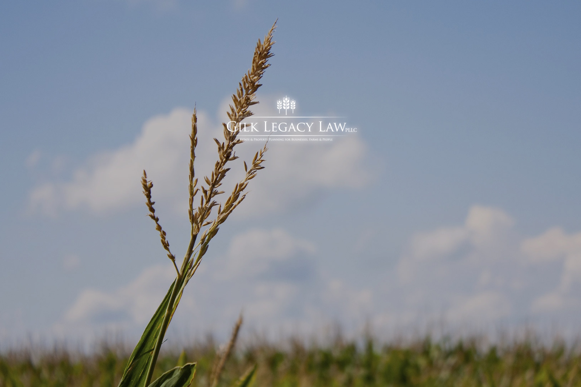 Estate and Property Planning Services from Gilk Legacy Law